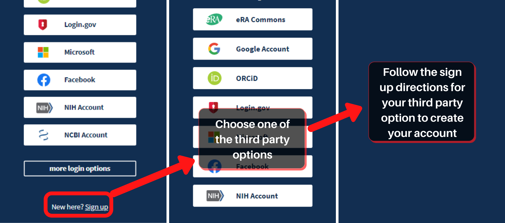 Customize your MyNCBI Account // J. Otto Lottes Health Sciences Library